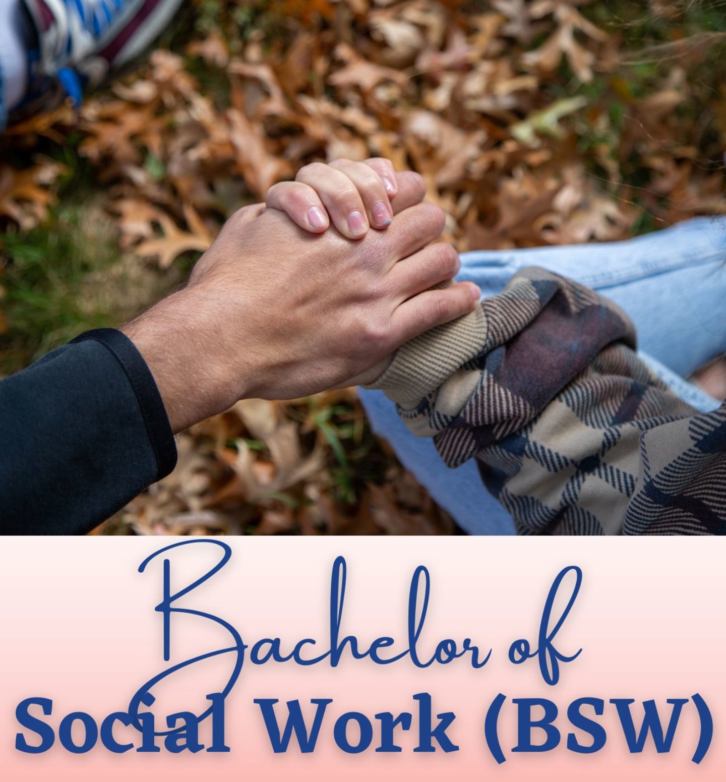 Bachelor of Social Work (BSW) Program | King University