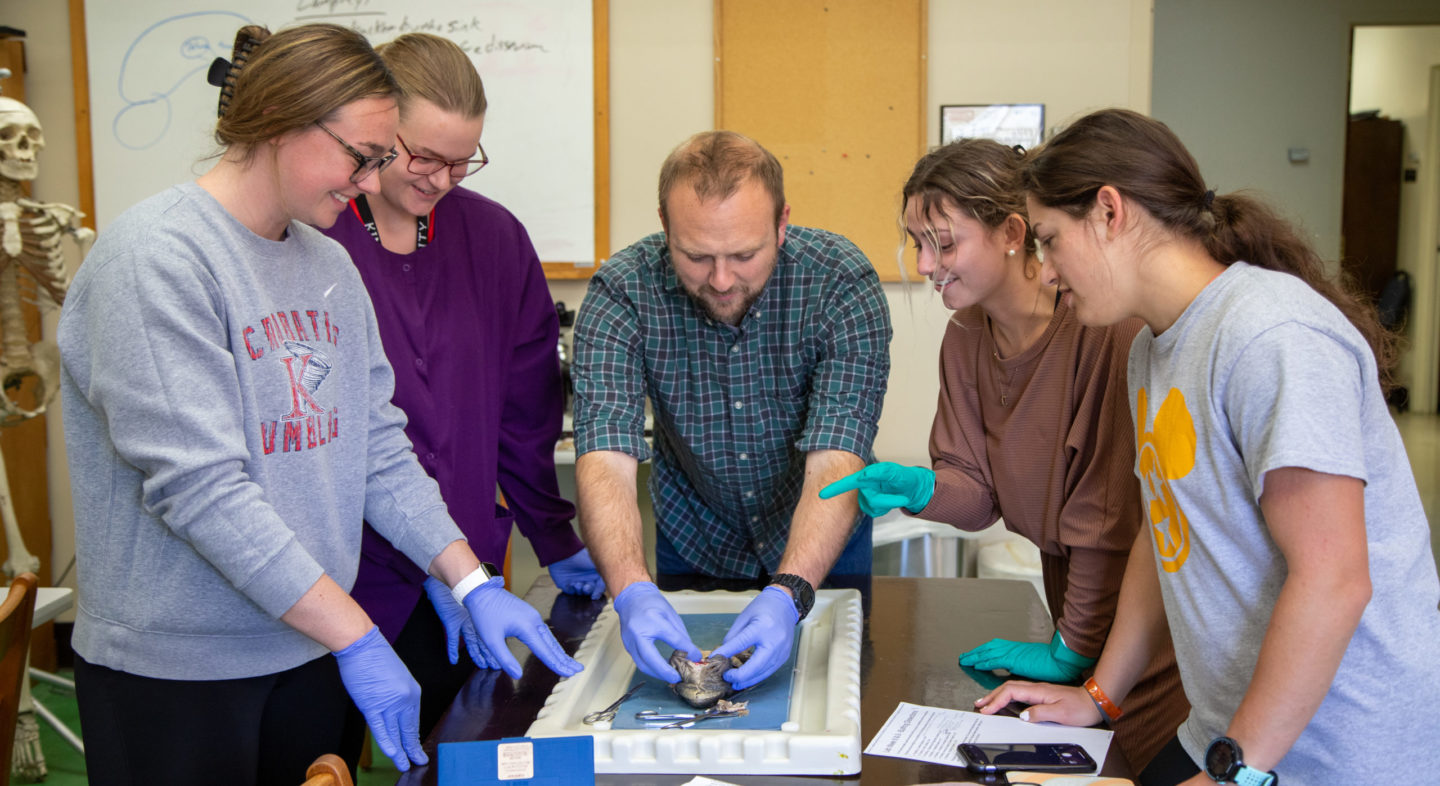 Major in Biology | Bachelor's Degree Program in TN | King University